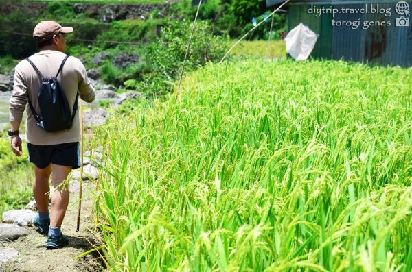 Pikaw Falls, Bakun, Benguet – Loneprowler
