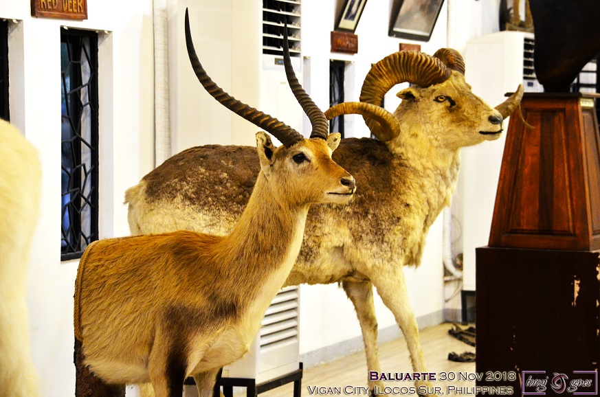 Baluarte: A Zoo and Museum in Vigan City – Loneprowler