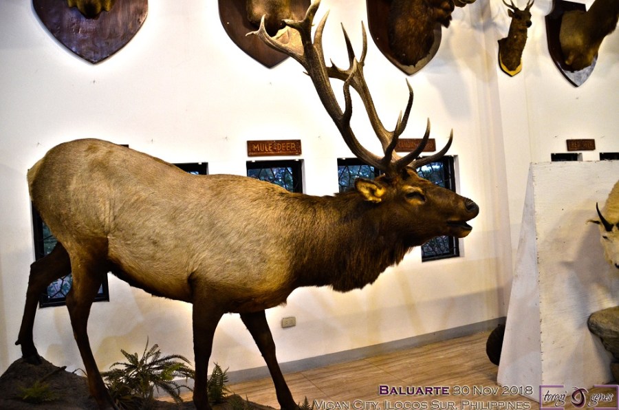 Baluarte: A Zoo and Museum in Vigan City – Loneprowler