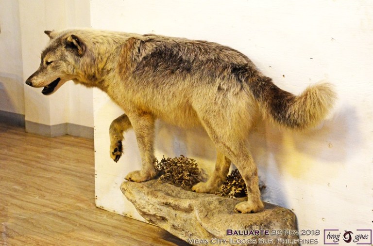 Baluarte: A Zoo and Museum in Vigan City – Loneprowler